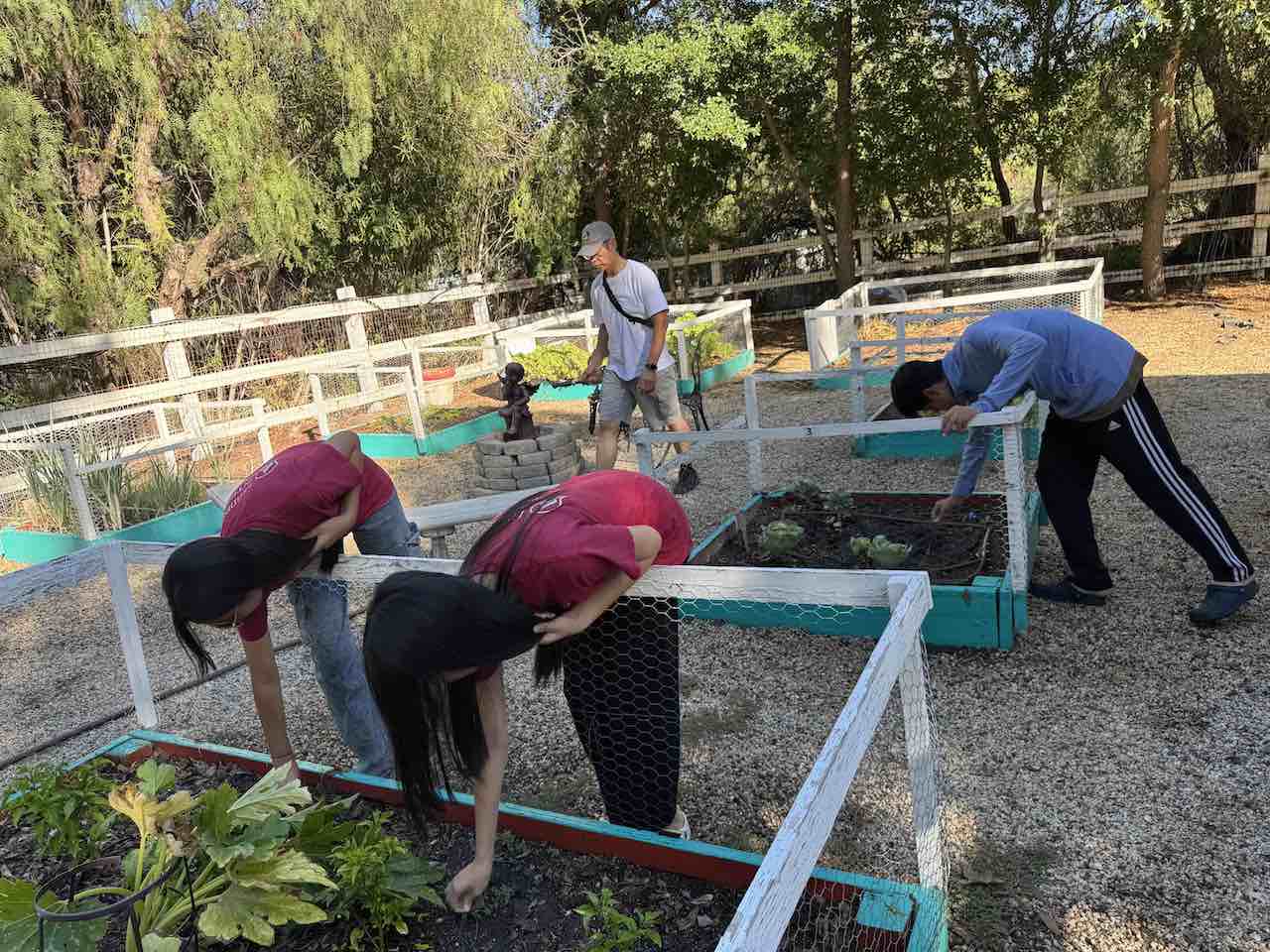 Murrieta AYLUS Lends a Hand to The Little Garden of Hope Project (87th ...
