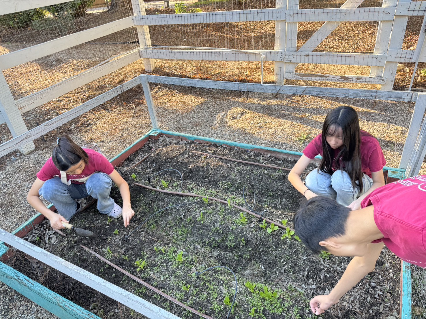 Murrieta AYLUS Lends a Hand to The Little Garden of Hope Project (#96 ...