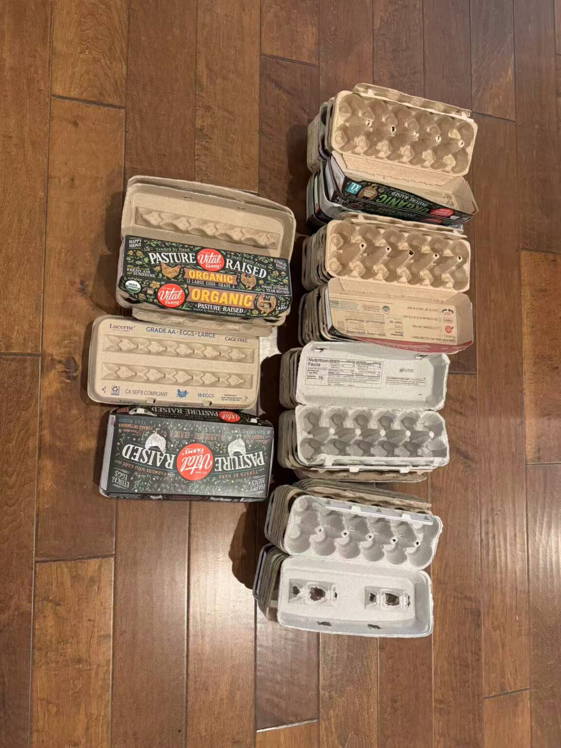 San Diego Branch Hosted 16th Egg Cartons Collection Event on January 31 ...