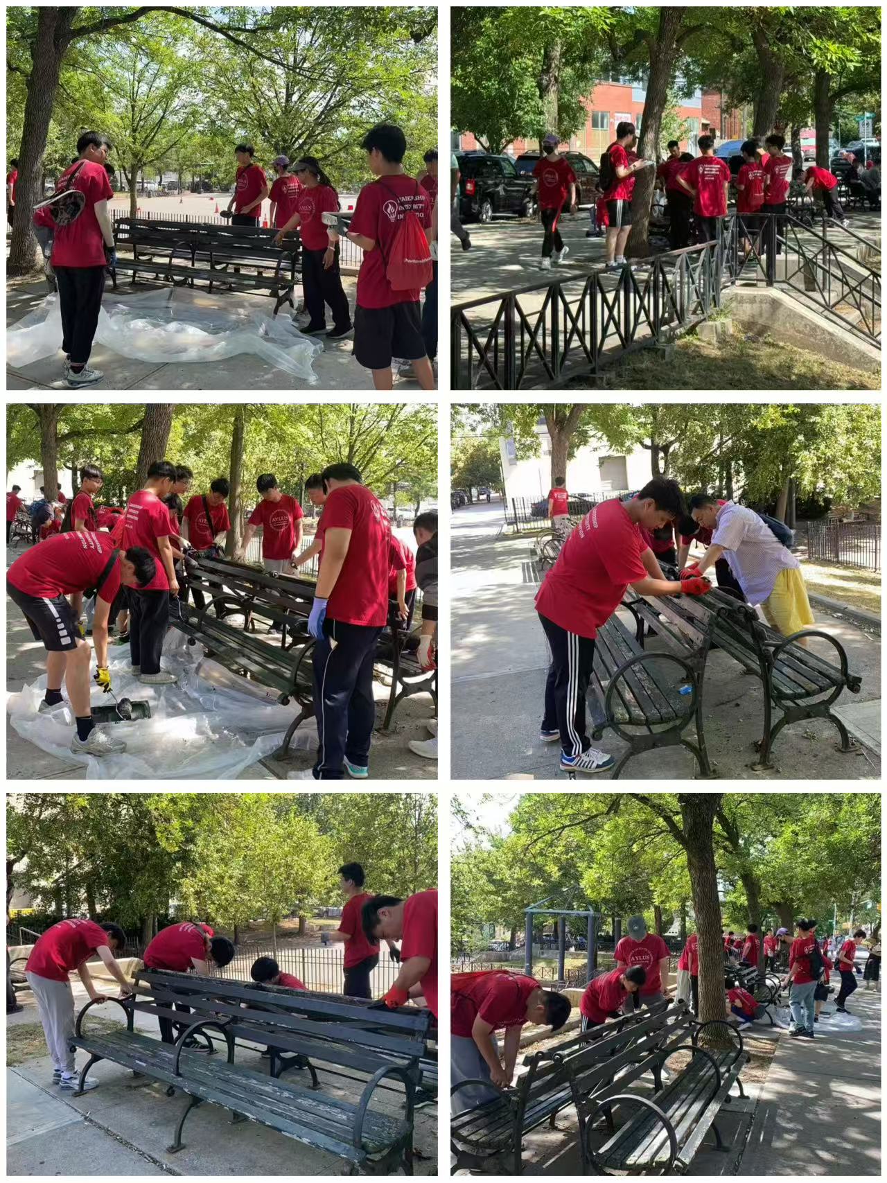 Murray Hill Playground Bench Repainting Project (6/14/2026) – Alliance ...